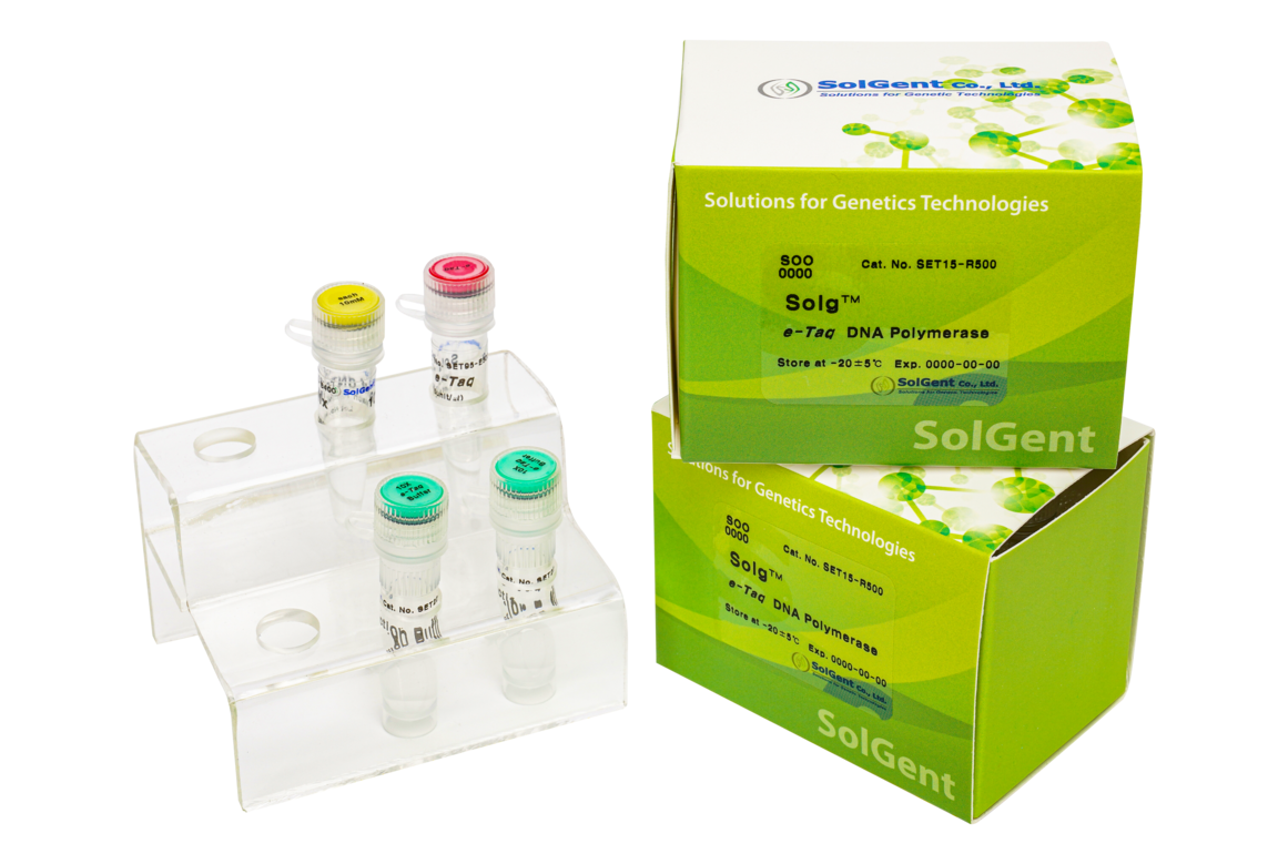 Amplification – SolGent Co., Ltd