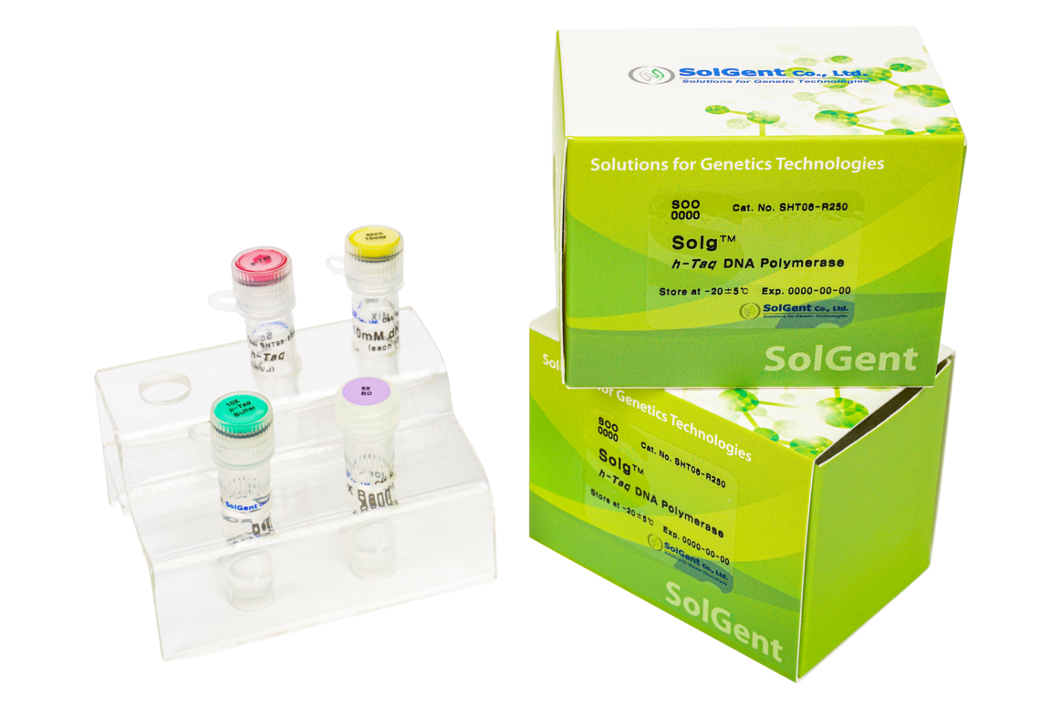 Amplification – SolGent Co., Ltd