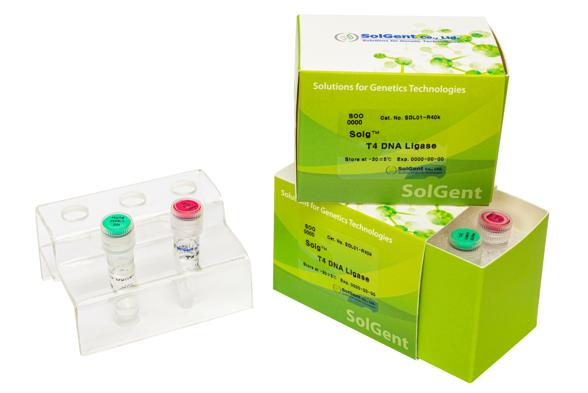 Amplification – SolGent Co., Ltd