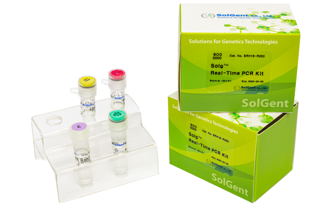 Real-Time PCR & qRT-PCR – 솔젠트(주)