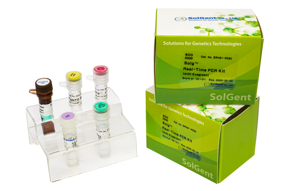 Real-Time PCR & qRT-PCR – SolGent Co., Ltd