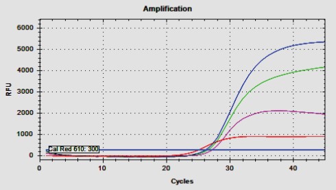 Amplification – SolGent Co., Ltd
