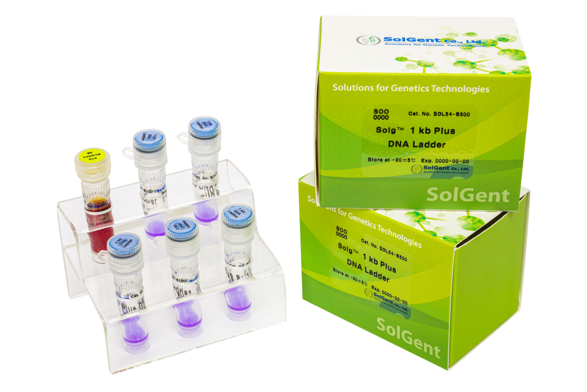 Ladder Series – 솔젠트(주)