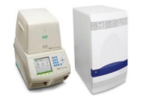 ZCD Virus disease – 솔젠트(주)