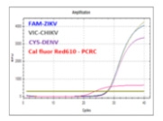 ZCD Virus disease – 솔젠트(주)